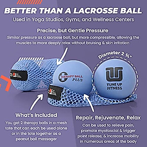 Tune Up Fitness – Therapy Ball PLUS Pair in Tote | Lacrosse Ball Upgrade - Massage Therapy Balls for Myofascial Release | Neck, Lower Back Pain, Sciatica, Shoulder Tension Relief, Physical Therapy