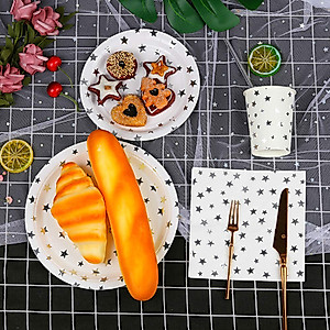 Ottin White and Silver Stars Paper Plates 9'' 48 Counts Twinkle Twinkle Little Star Party Plates for Wedding Birthday Bridal Shower Christmas New Year Winter Party Mother's Day