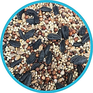 Pennington Classic Wild Bird Feed