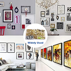 310 Pcs Picture Hanging Kit, Heavy Duty Picture Hangers for Drywall, Picture Hanging Hooks, Picture Hooks for Hanging Hardware Mirror, Pictures Frame Hanger With Nails Hanging Wire Sawtooth etc VOPTON