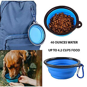 XL Collapsible Dog Food and Water Bowls with Bone-Shaped Waste Bag Holder, Includes 300 Biodegradable Bags - Set of Two 40 Oz Pet Feeding, Watering Bowls for Traveling, Camping, Hiking, and Kennel