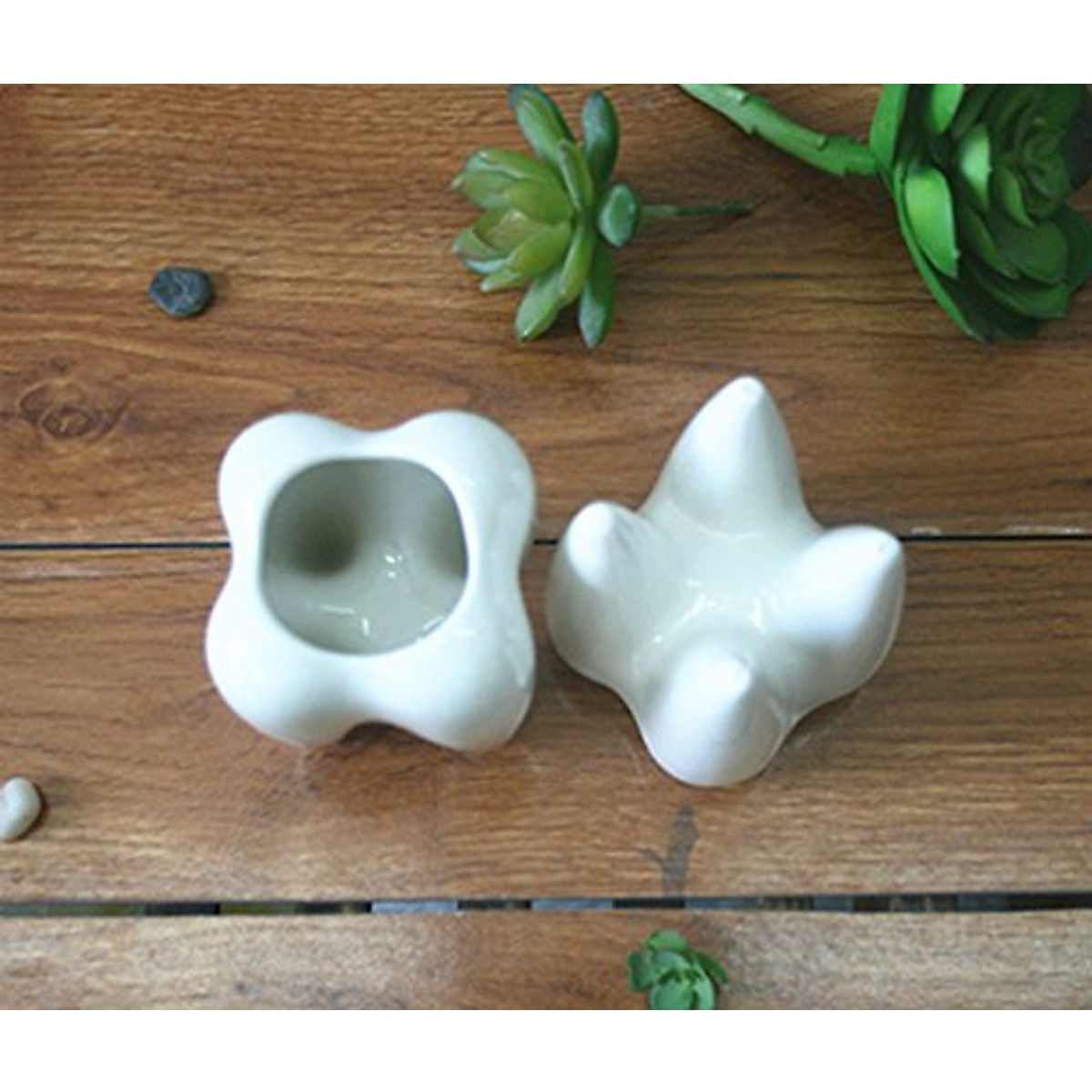 MONMOB Ceramic Tooth Shaped Pen Pencil Toothbrush Holder Pot Succulent Plant Pot Home Office School Dentists Gift (3.9")