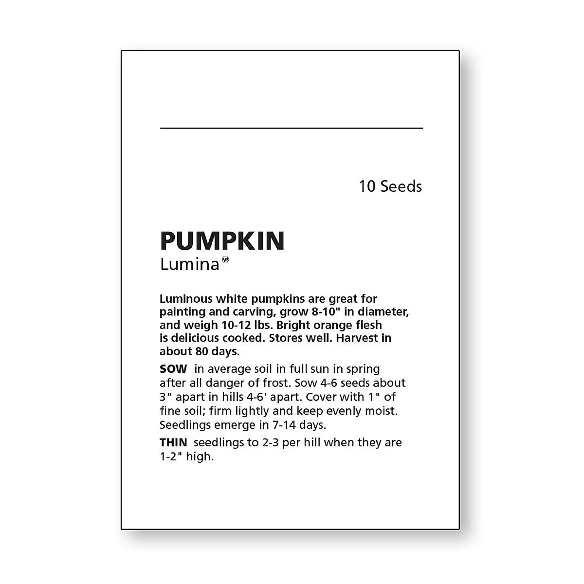 Burpee Lumina Pumpkin Seeds 10 seeds