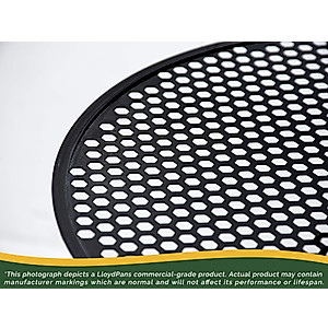 LloydPans Hex Disk, Pre-Seasoned PSTK (1, 12 inch)