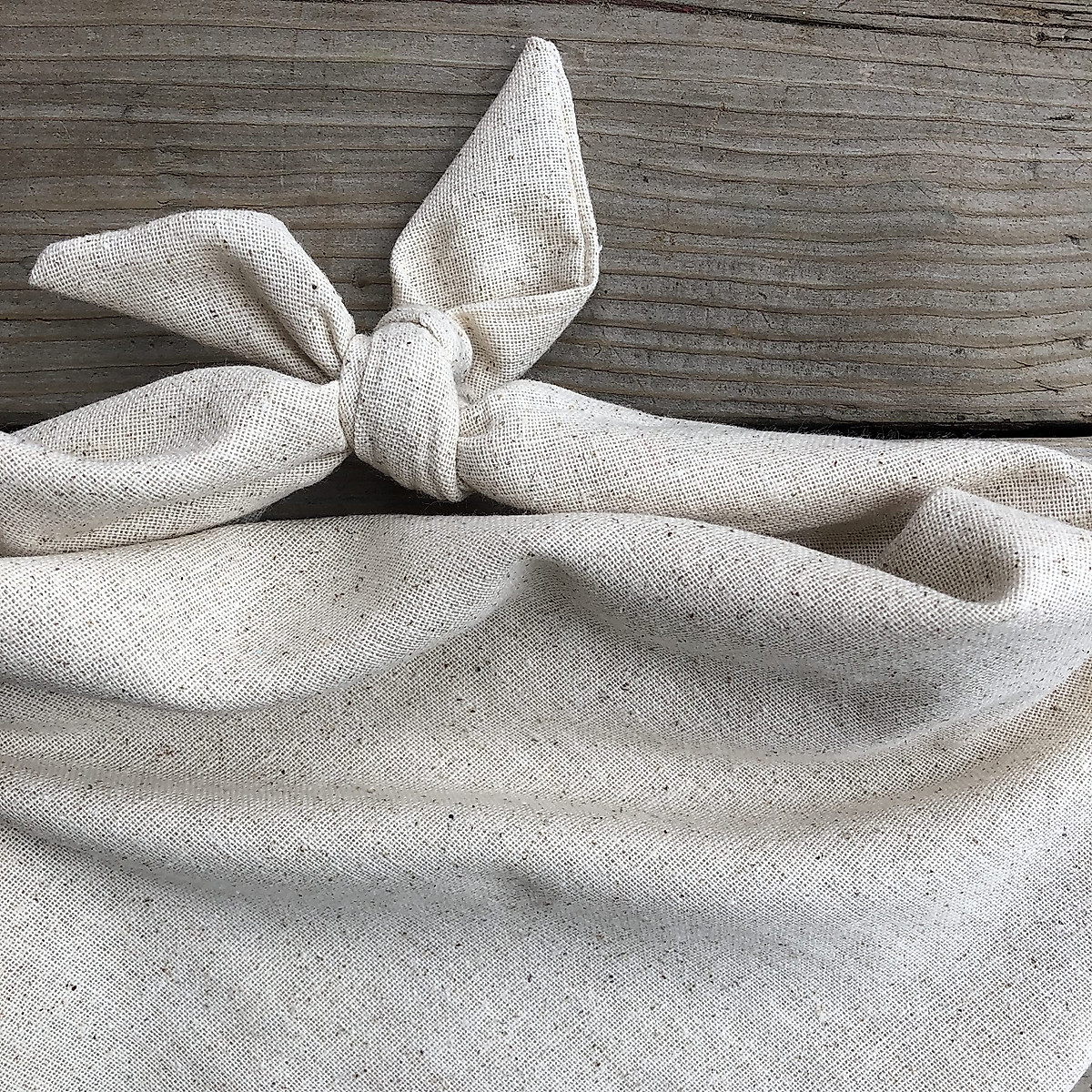 Dog Bandana Pregnancy Announcement Big Sister Baby Reveal Oatmeal Cream Minimal Neutral Color Announcement to Family (Medium)