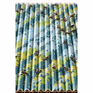 RESCUE! FlyPad – Sticky Fly Traps for Indoor & Outdoor Use - 4 Pack (8 Traps)