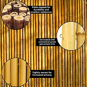 Backyard X-Scapes Caramel Brown Bamboo Fencing Decorative Rolled Fence Panel 3 ft H x 8 ft L