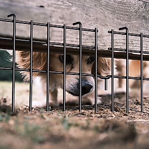 OUSHENG 1.5'' Spacing Animal Barrier Fence for Dogs, 10 Panels Rustproof Metal Anti Doggie Digging Garden Border, Under Ground Fencing Bottom Puppy Blockers Stakes for The Yard, 17in (H) X 10ft (L)