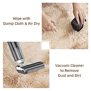 Litanika 4x6 Shag Area Rug for Living Room Bedroom, Tie-Dyed Beige Fluffy Shaggy Fuzzy Nursery Kids Girls Boys Room Rug, Cream Soft Plush Furry Bedside Carpet, Non-Slip, Non-Shedding Indoor Floor Rug