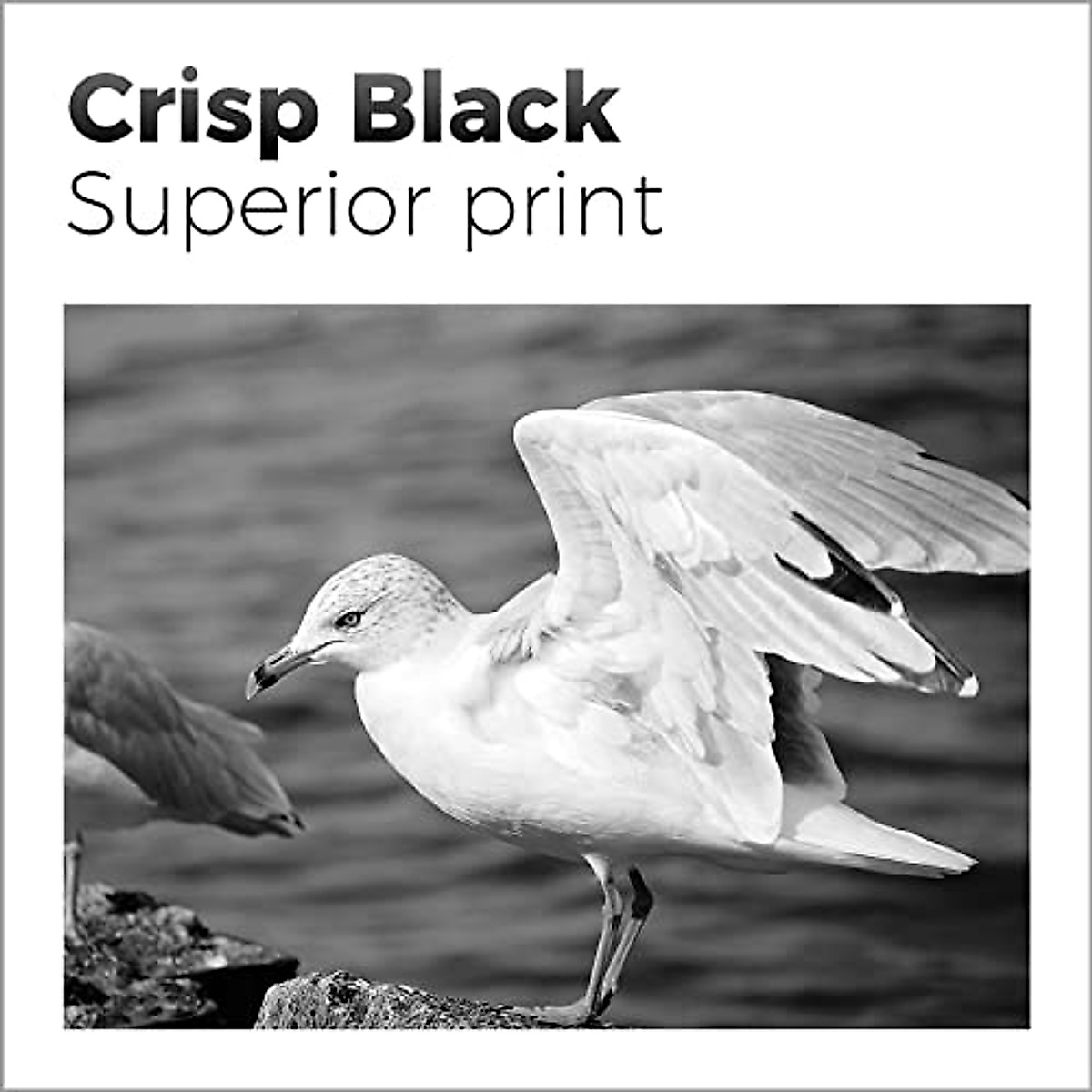 MYCARTRIDGE 62 Remanufactured Ink Cartridge Replacement for HP 62 62XL Use with Envy 7640 5660 5540 7645 OfficeJet 5740 8040 5741 OfficeJet 200 250 (1 Black 1 Tri-Color, 2-Pack)