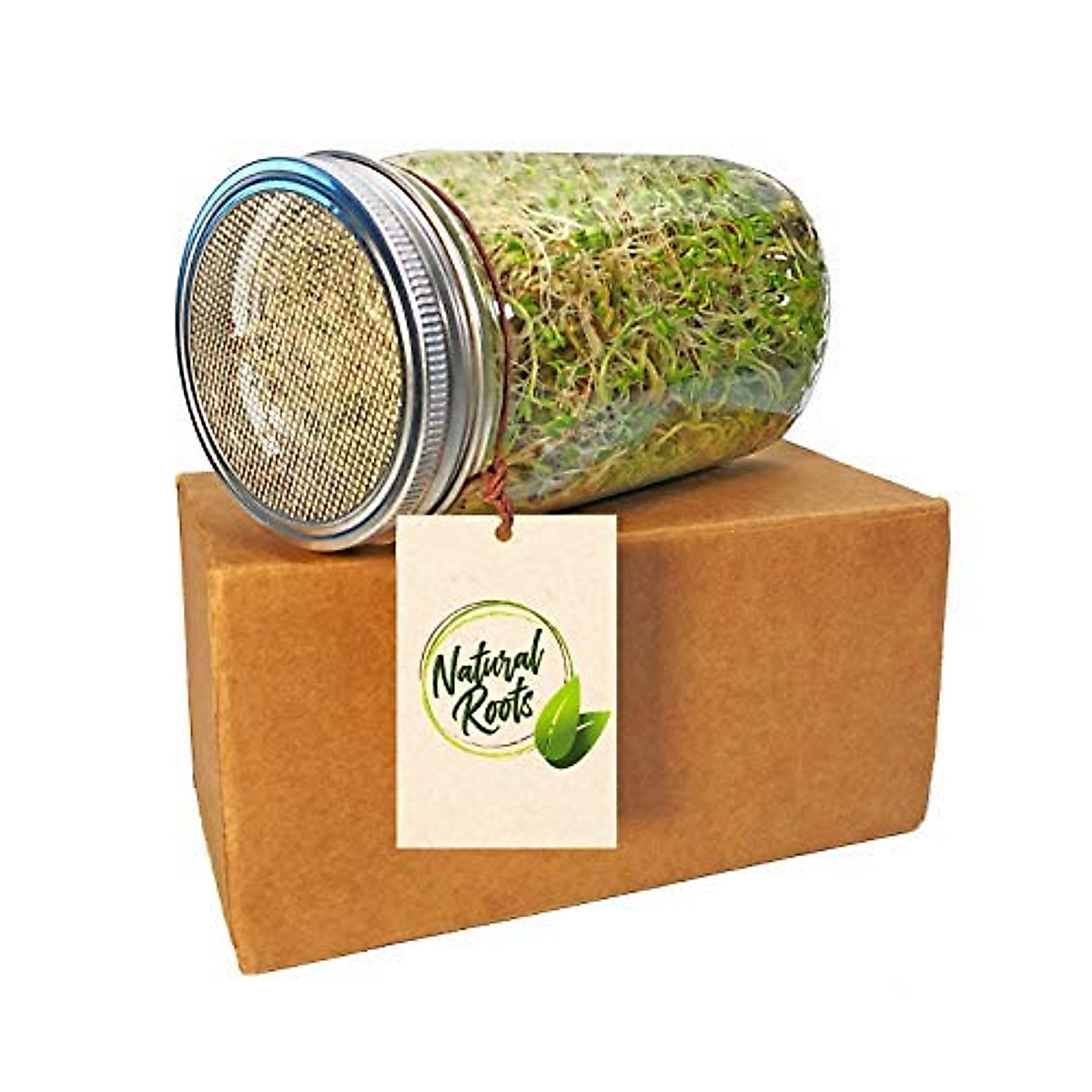 Variety Pack Sprouting Seeds Broccoli, Alfalfa, Radish, Mung beans & Salad Mix for Sprouts and Microgreens. Non-GMO. Pack of 10 premeasured seeds for quart size jars or trays. Includes 2 packs of each