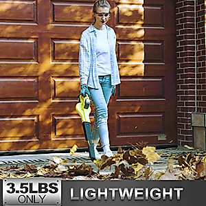 Walensee Upgrade Leaf Blower - 20V Cordless Leaf Blower with 4.0Ah Lithium Battery & Fast Charger Included, Electric Leaf Sweeper for Lawn Clean Lightweight Garden Power Tool for Grass Clipping Patio