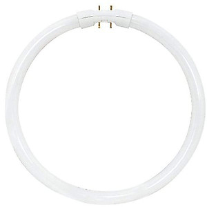 Satco S8159 3500K 40-Watt 2GX13 T5 Circline High Performance Lamp, Neutral White, Frosted, 1 Count (Pack of 1)