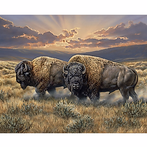 North American Bison Buffalo On The Dusty Plains Cotton Panel 36 X 44 Inches David Textiles WW3321