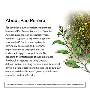 Beljanski® Product - PaoVet® - Pao Pereira Immune Support Pet Supplement - 100 Capsules