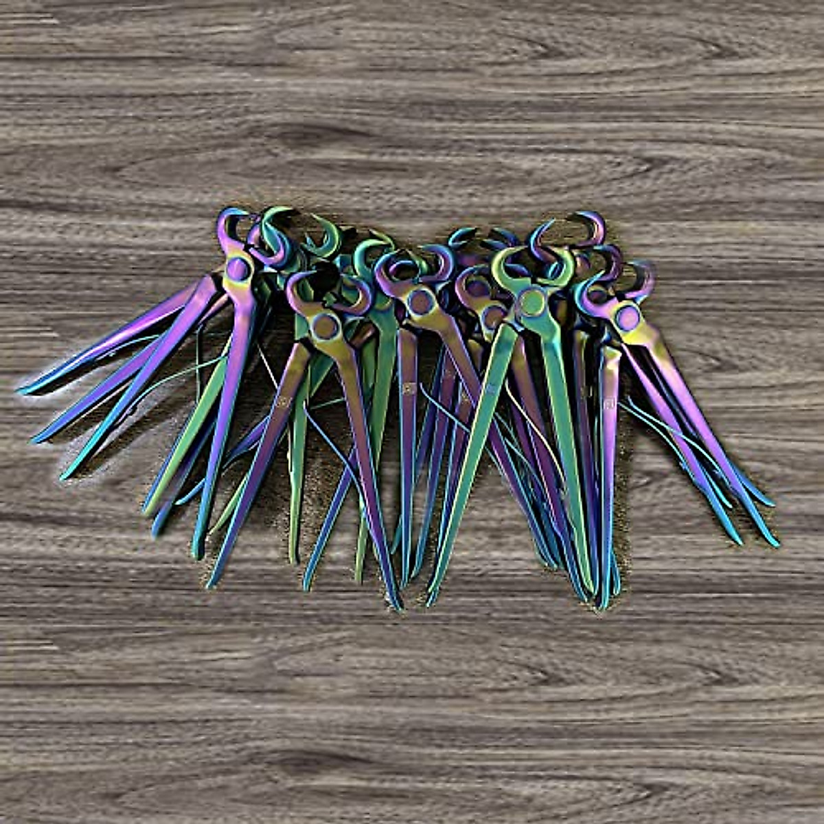 Rekhi International Farrier Hoof Nippers Rainbow Loaded Spring Horseshoe Trimmer Farrier Tools Pony Hoof Nippers Small Ferrier Tool Horse Nippera Herramientas Para Caballos 10 Inches