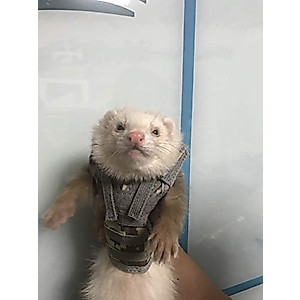 Ferret Clothes Small Animals Harness Military Style Adjustable Shoulder Straps Soft Mesh Comfort Durable Nylon Padded Vest Ferret Guinea Pig Hamster Bunny Kitten Puppy Small Pet Clothes Accessory