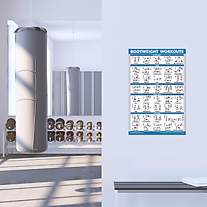 16 Pack - Exercise Workout Poster Set: Dumbbell, Suspension, Kettlebell, Bands, Medicine Ball, Battle Rope, Stretching, Bodyweight, Barbell, Yoga, Exercise Ball (PAPER - NOT LAMINATED, 18" x 24")