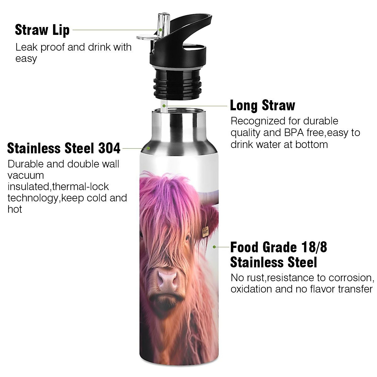 xigua Highland Cow Colorful Dyed Hair Sports Water Bottle with Straw Lid 22 oz, Leak Proof, Vacuum Insulated Stainless Steel, Double Walled, Thermo Mug, Metal Canteen