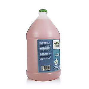 Green Groom Odor Eliminator Dog Shampoo, 1 Gallon - Crafted with Odortrol, All Natural Ingredients, Antioxidant Rich, Eliminates Smelly Pet Odors, Powerful Deodorizing Formula, Professional Grade