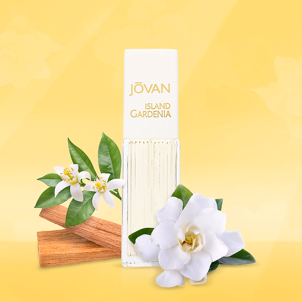 Jovan Island Gardenia Eau de Cologne Spray 1.5 fl oz (Pack of 1), Notes of Neroli, Gardenia, and Sandalwood, Women's Fragrance, Long Lasting, Everyday Fragrance, Travel Size