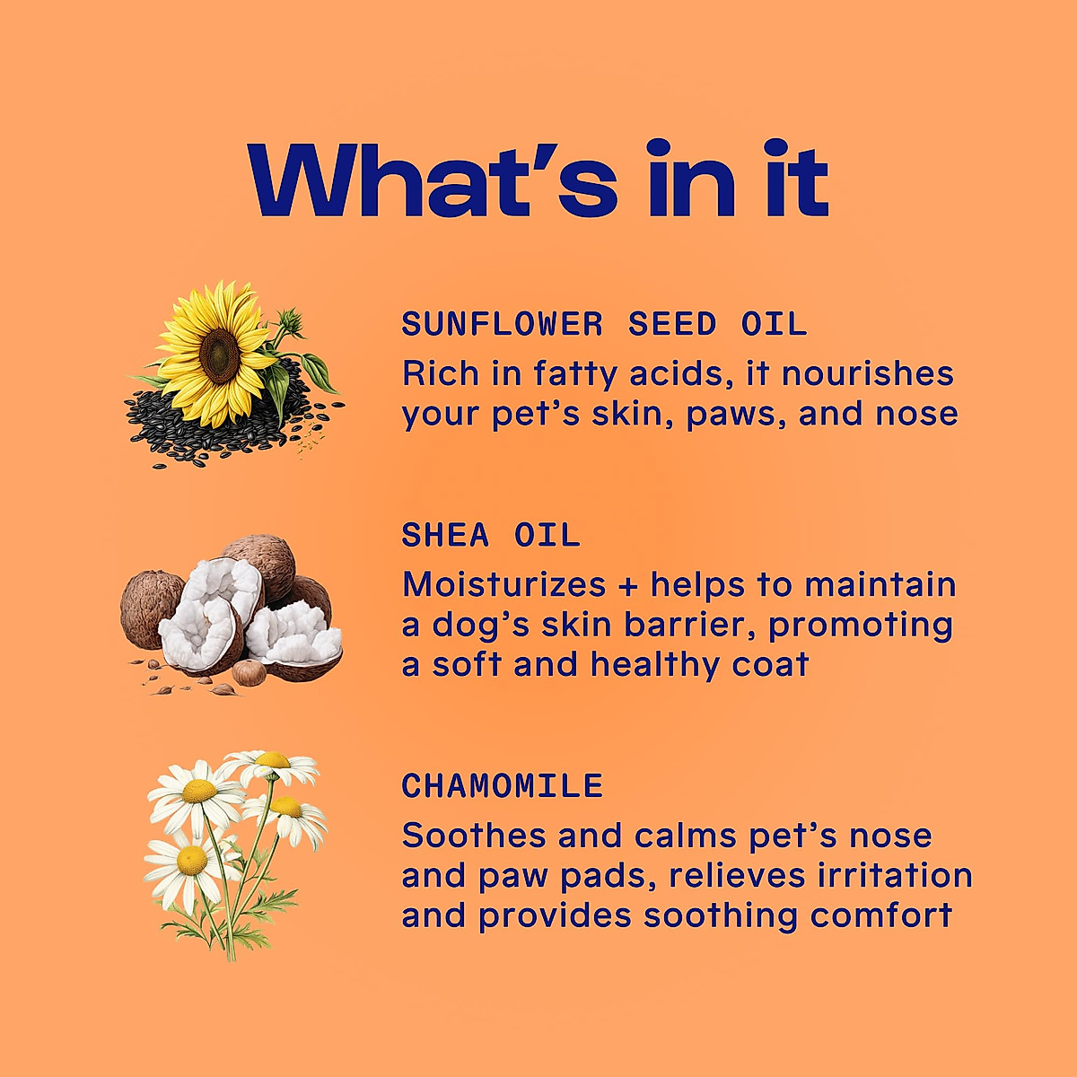 DDBC Dirty Dog Beauty Club - Butter Pup Balm - Daily Moisturizing for Paw Pads & Noses - Lick-Safe, Natural Ingredients, Veterinarian Developed - (1.8 oz), Unscented