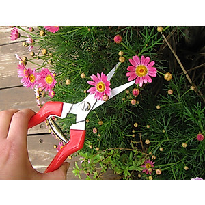 TABOR TOOLS K77A Straight Pruning Shears with Stainless Steel Blades, Florist Scissors, Multi-Tasking Garden Snips for Arranging Flowers, Trimming Plants, Harvesting Herbs, Fruits or Vegetables.