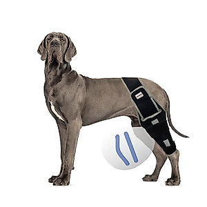 WENQUSEN Dog Leg Support - for Leg Wounds After Surgery for Ligament tears, with Support Strips to Protect The Dog's Leg Wounds. Breathable and Comfortable (L)