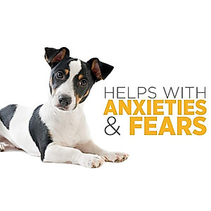 maxxipaws UTI Calm Bundle – maxxiUtract Urinary and Bladder Support for Dogs & maxxicalm Canine Calming Supplement