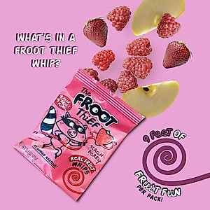 The FROOT Thief Real Fruit Whips 20Ct, 1.06 Lbs