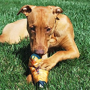 Doggijuana | Refillable Catnip Dog Toy | Naturally Calming | Catnip Grown in The USA (Hiking Boot)