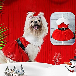 ANIAC Small Dog Christmas Dress Cat Xmas Outfits Red Santa Puppy Skirt Holiday Theme Girls Dog Clothes Pet Christmas Apparel (A, Small)