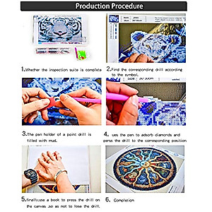 DIY 5d Diamond Painting Kits for Adults,Full Drill Crystal Diamond Dots Art Kit Cross Stitch Embroidery Paint with Diamonds Crafts for Kids and Beginners Home Decor（Canvas Size: 11.8 X 15.75 Inch）