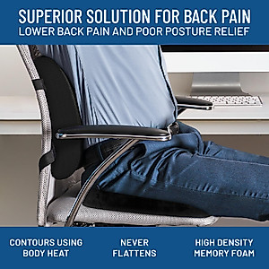 Everlasting Comfort Seat Cushion for Office Chair and Lumbar Support for Office Chair