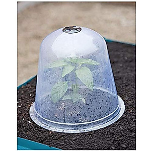 KiaoTime Pack of 10 Reuseable 10" Plastic Greenhouse Garden Bell Cover Germination Cover Frost Guard Freeze Protection Dome with Bonus 30 Metal Stakes+10 Tags