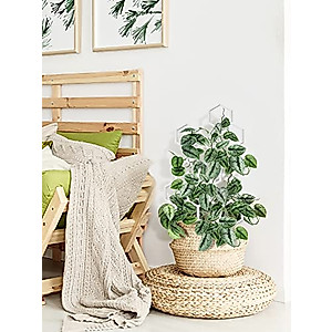 3 Pack Plastic Small Plant Trellis for Climbing Potted Plants- 15.7" × 7.9" Sturdy Honeycomb Shaped Plant Trellis Indoor Non-perishable Houseplant Trellis Starter for Outdoor Garden Flower Support