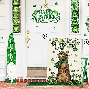 AVOIN colorlife St Patricks Day Welcome Cat Garden Flag 12x18 Inch Double Sided, Shamrock Lucky Clover Rustic Holiday Yard Outdoor Flag