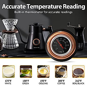 Aromaster Electric Gooseneck Kettle,Pour Over Coffee & Tea Kettle,Hot Water Kettle,1200 Watt Quick Heating 0.8L Kettle with Thermometer,100% Stainless Steel,Black