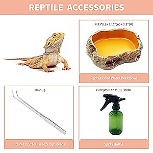 Reptile Growth Reptile Terrarium,16" x 8"x 10" Reptile Tank with Full View Visually Appealing，for Insect，Fish，Tarantula，Hermit Crab，Jumping Spider，Iguana，Tortoise，Leopard Gecko，Frog，Bearded Dragon