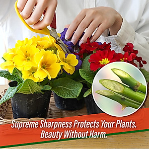 SUIZAN Japanese Trimming Scissors 6” Professional Garden Plant Flower Shears for Gardening Tools