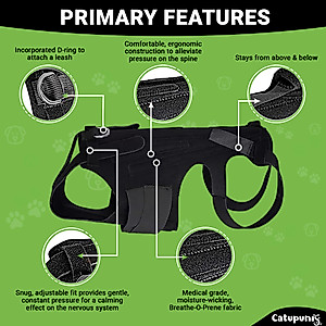 CATUPUNIS Dog Back Brace for Slipped Disc and Dog Arthritis Support, IVDD Dog Supplies, Dachshund Back Support, Back Brace for Dogs with Back Disease and IVDD [Includes 5 Dog Teeth Cleaning Wipes] (M)