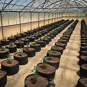 Hongruilite 1 2 3 5 7 10 15 20 25 Gallon 6/12/24-Pack Planting Grow Bags Black Fabric Grow Pots Bags for Hydroponic Indoor Plant Growing (15 Gallon w/Handles(12-Pack))