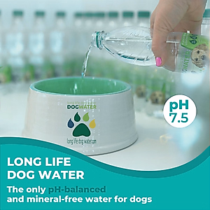 Long Life Dog Water - Natural Spring Water for Dogs, pH-Balanced Dog Water, Helps with Electrolytes for Dogs & Improve Dog Hydration, Mineral-Free - 16.9 oz 6-Pack with Free Cooling Dog Bowl 32oz