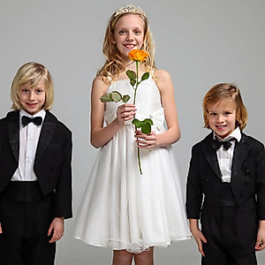 Aprince Crowns for Women Crystal Tiara Crown Princess Crowns Headband Tiaras for Women Girls Crown Wedding Tiara Headband Princess Crown Hair Accessories for Prom Birthday Costume Party