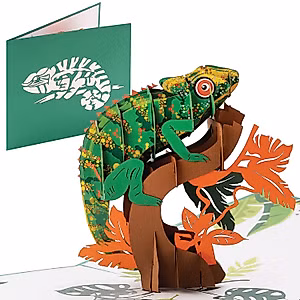 ioyounow Chameleon Pop Up Birthday Card – 6x6 Inch Greetings Card with Amazing 3D Lizard Design | Perfect for Birthdays, Thank You Notes, and Any Occasion - Best Paper Greetings