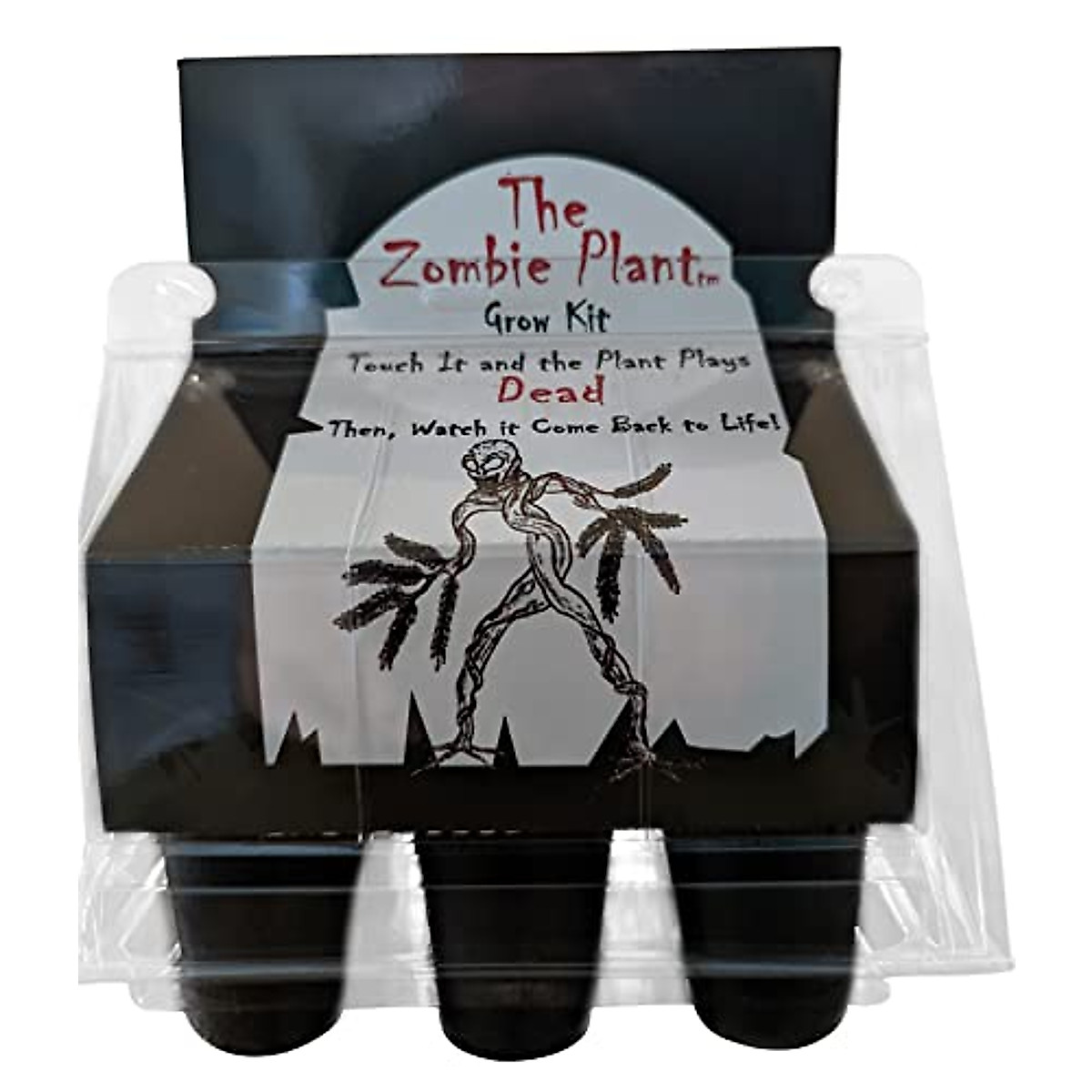 Zombie Plant Greenhouse Grow KIT- (Touch It and It Plays Dead!) Unique Nature Kit- Grow a Fun House Plant That Plays Dead When You Touch It! Comes Back to Life in Minute. Unique Christmas Gift Idea