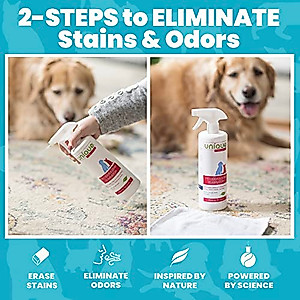 Unique Pet Odor and Stain Eliminator - 24 oz. Ready-to-Use Liquid Spray - Bio-Enzymatic Formula Eliminates Old and New Pet Odor and Pet Stains