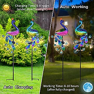 Viveta Pathway Lights Solar Powered, Waterproof Peacock Garden Decor - Metal Peacock Solar Lights for Outdoor Yard Lawn Walkway Driveway, 2Pack
