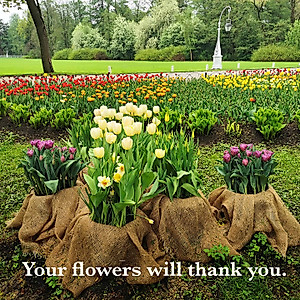 Burloptuous 40" x30 Feet Gardening Burlap Roll - Multipurpose Natural Burlap Fabric, High Density Jute Fiber Material for Decorations, Center Pieces for Home, Rustic Party Décor