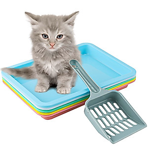 5pcs Kitten Litter Box, 9.65x7.28x0.98 inch Small Cat Litter Box with Litter Spatula Shallow Litter Pan Plastic Litter Tray Portable Cat Waste Tray Kitten Boxes for Indoor Cats Low Entry (5 Colors)
